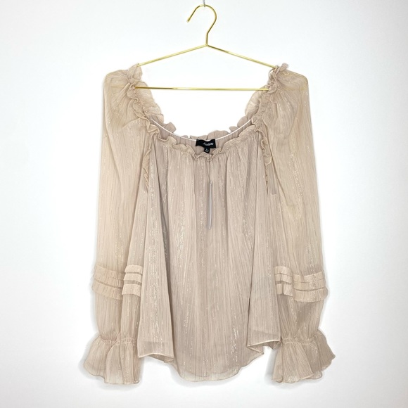 Aakaa | Tops | Champagne Semisheer Long Puff Ruffle Sleeve Blouse Shiny ...